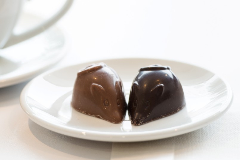 Choco Mango - Origine Nord Ouest